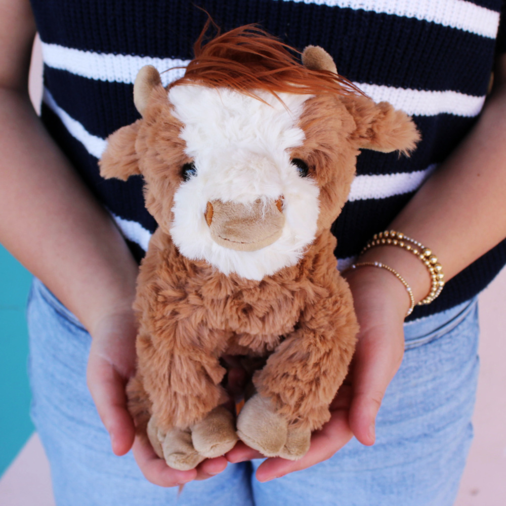 Madison the Highland Cow – Coco and Duckie