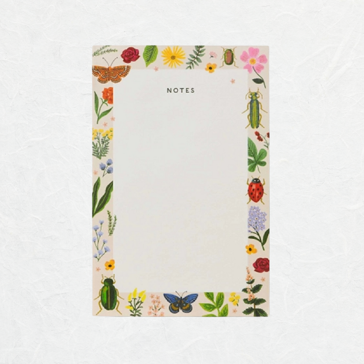 Curio Notepad – Coco and Duckie