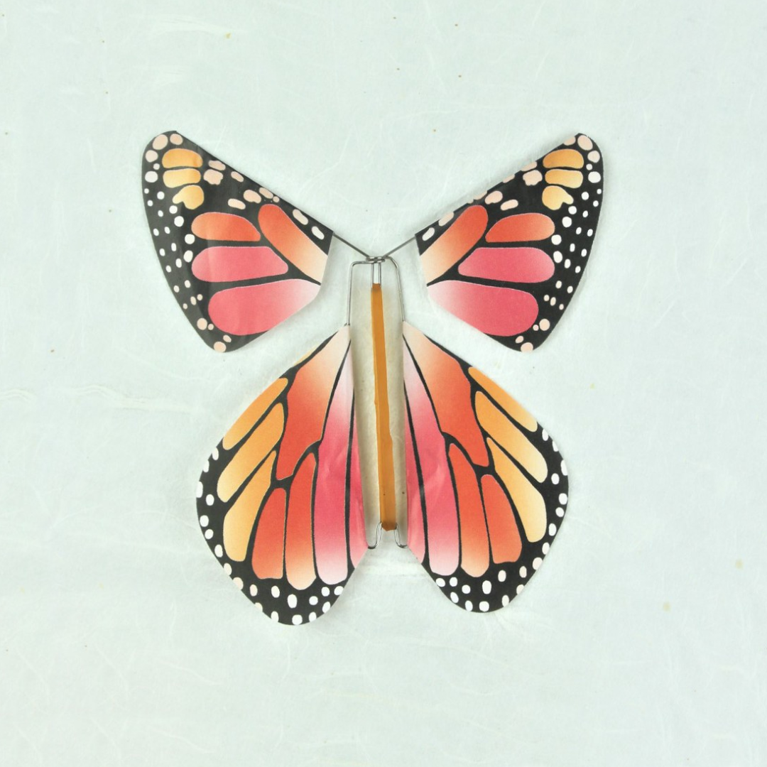 Flying Magic Rainbow Butterfly – Coco and Duckie