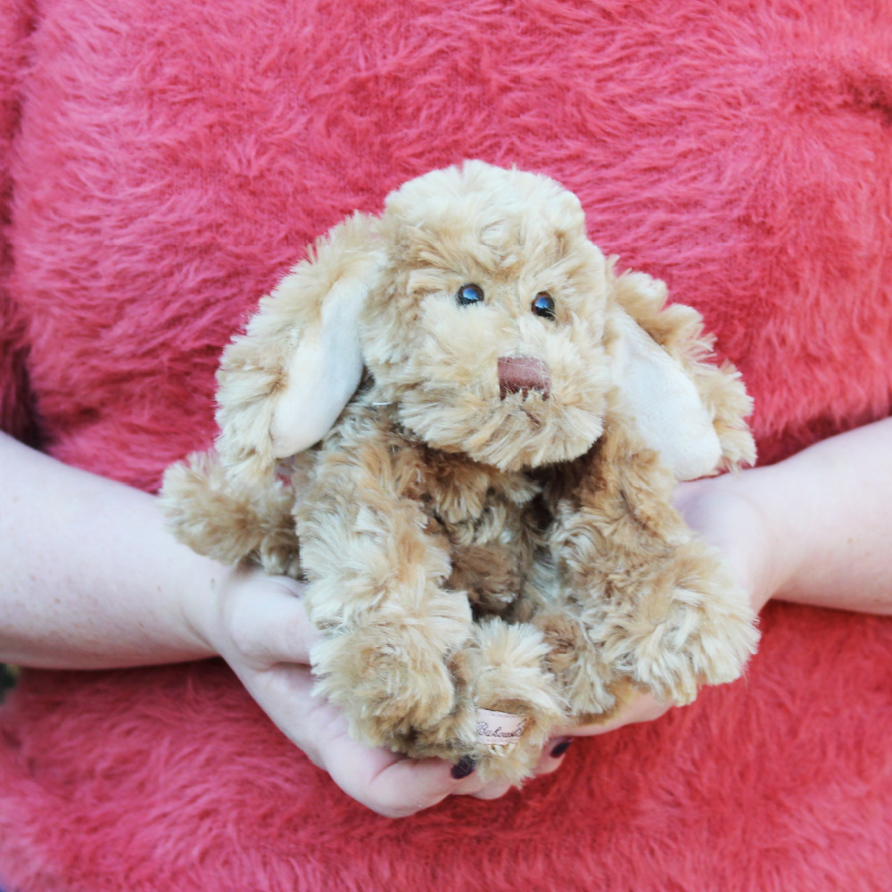 Buddy – Coco and Duckie