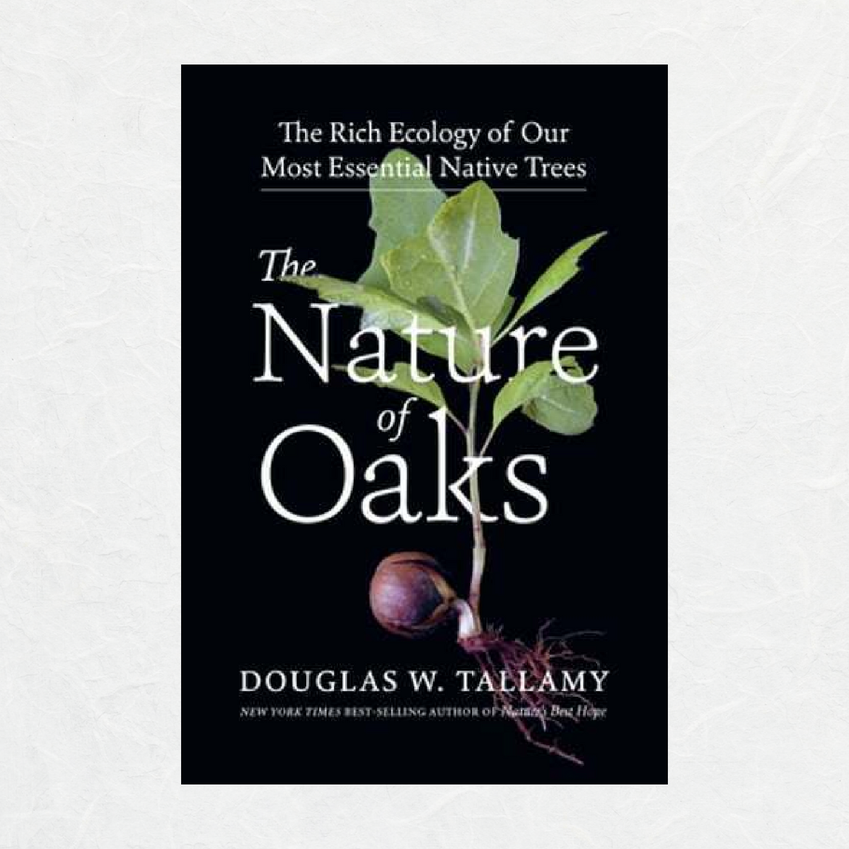 The Nature of Oaks – Coco and Duckie