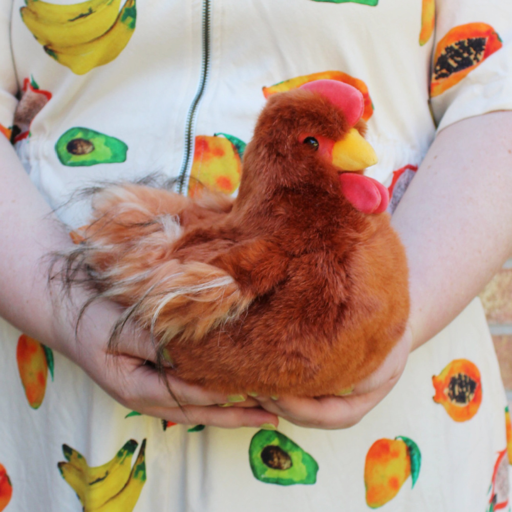 Hector Hen – Coco and Duckie