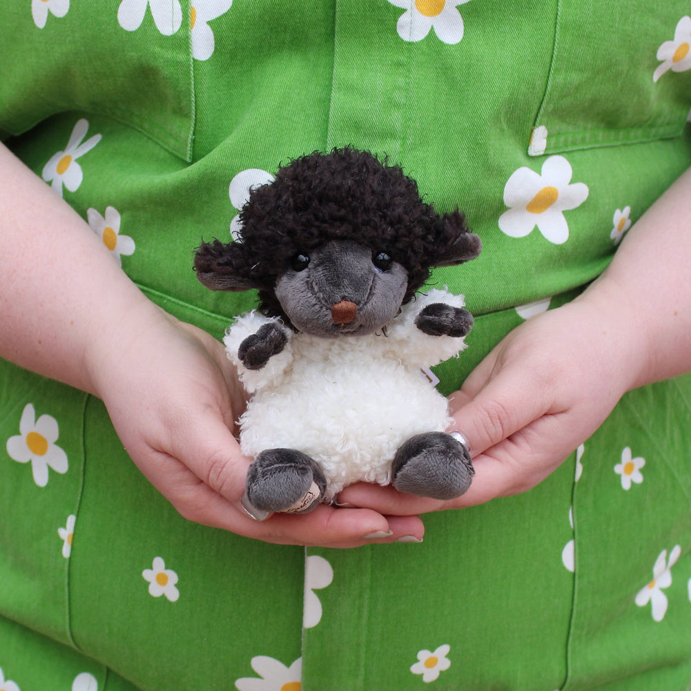 Sweet Black Sheep – Coco and Duckie