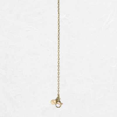 Gold Anchor Chain – Coco and Duckie